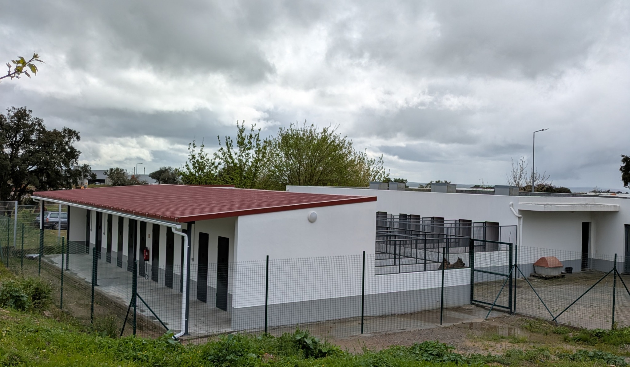 Município de Portalegre